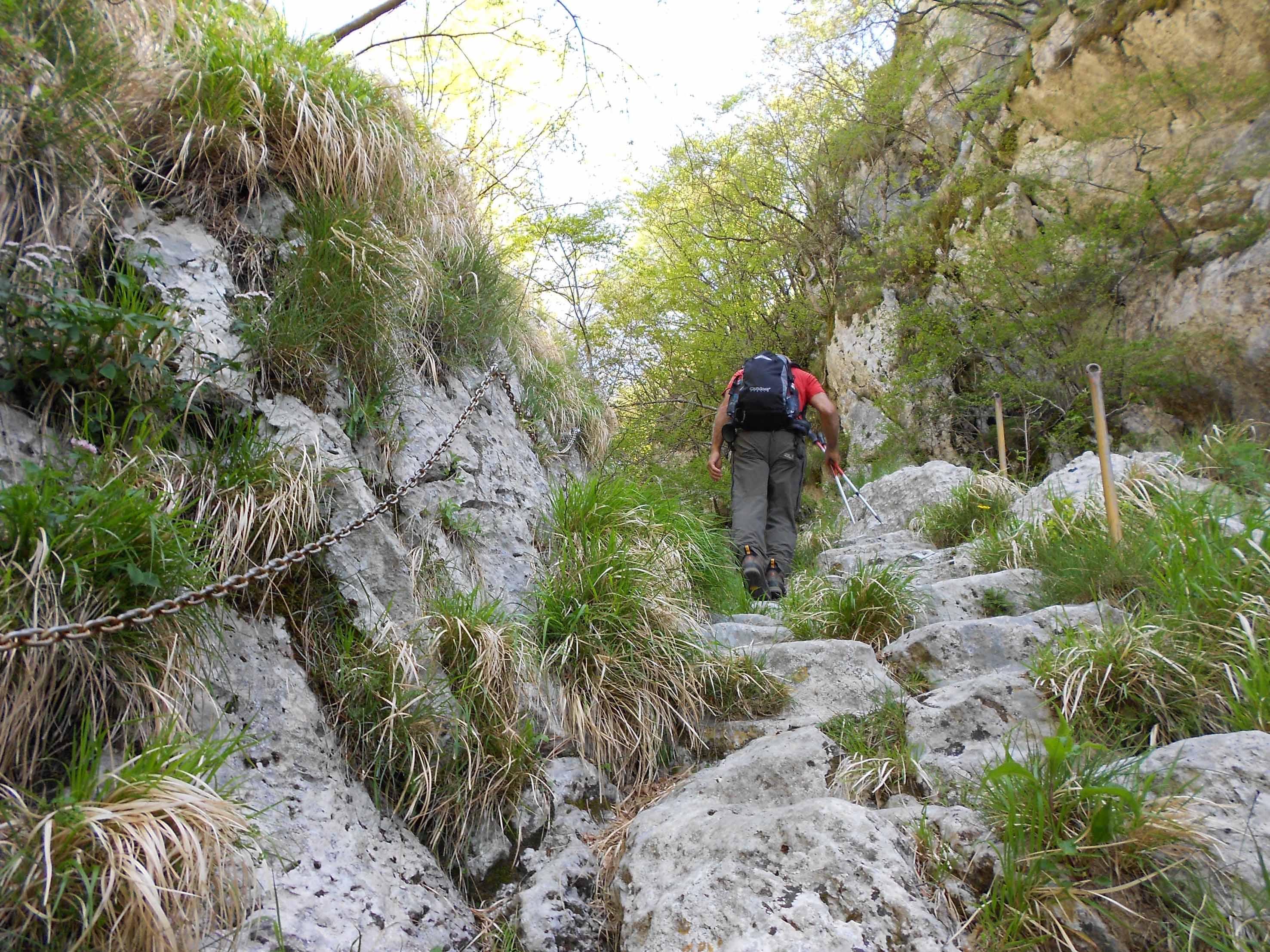 Trekking sul Monte Croce per la fioritura dei narcisi sulle Apuane